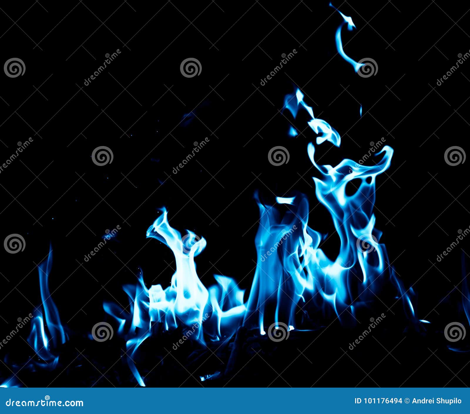 Blue Flame Fire on Black Background Stock Photo - Image of black, coal ...