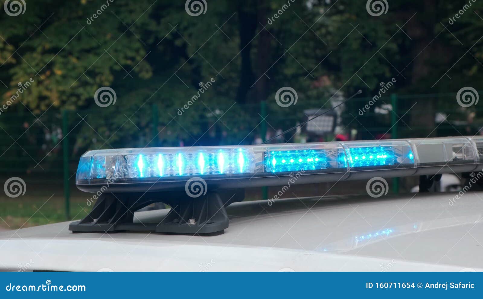 Blue Flash Light on Police Car Stock Footage - Video of foreground ...