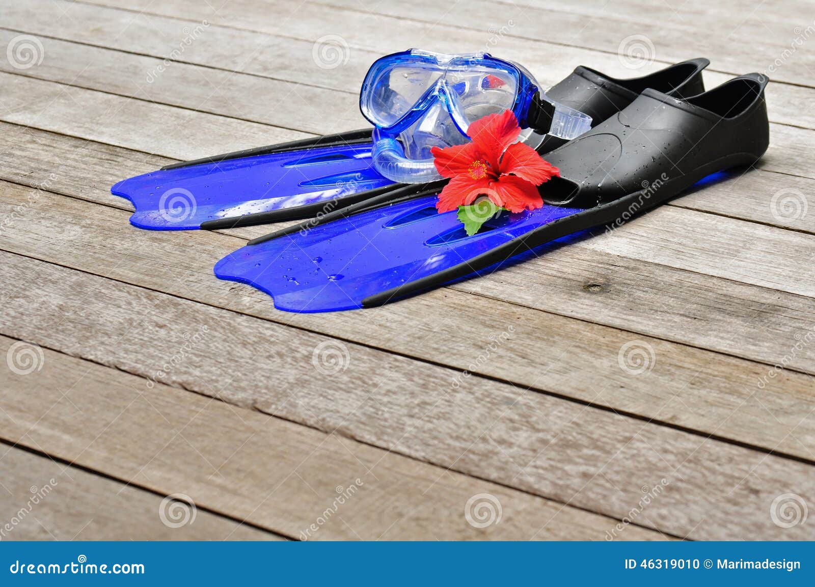 Blue flippers stock photo. Image of indian, planks, paradise - 46319010