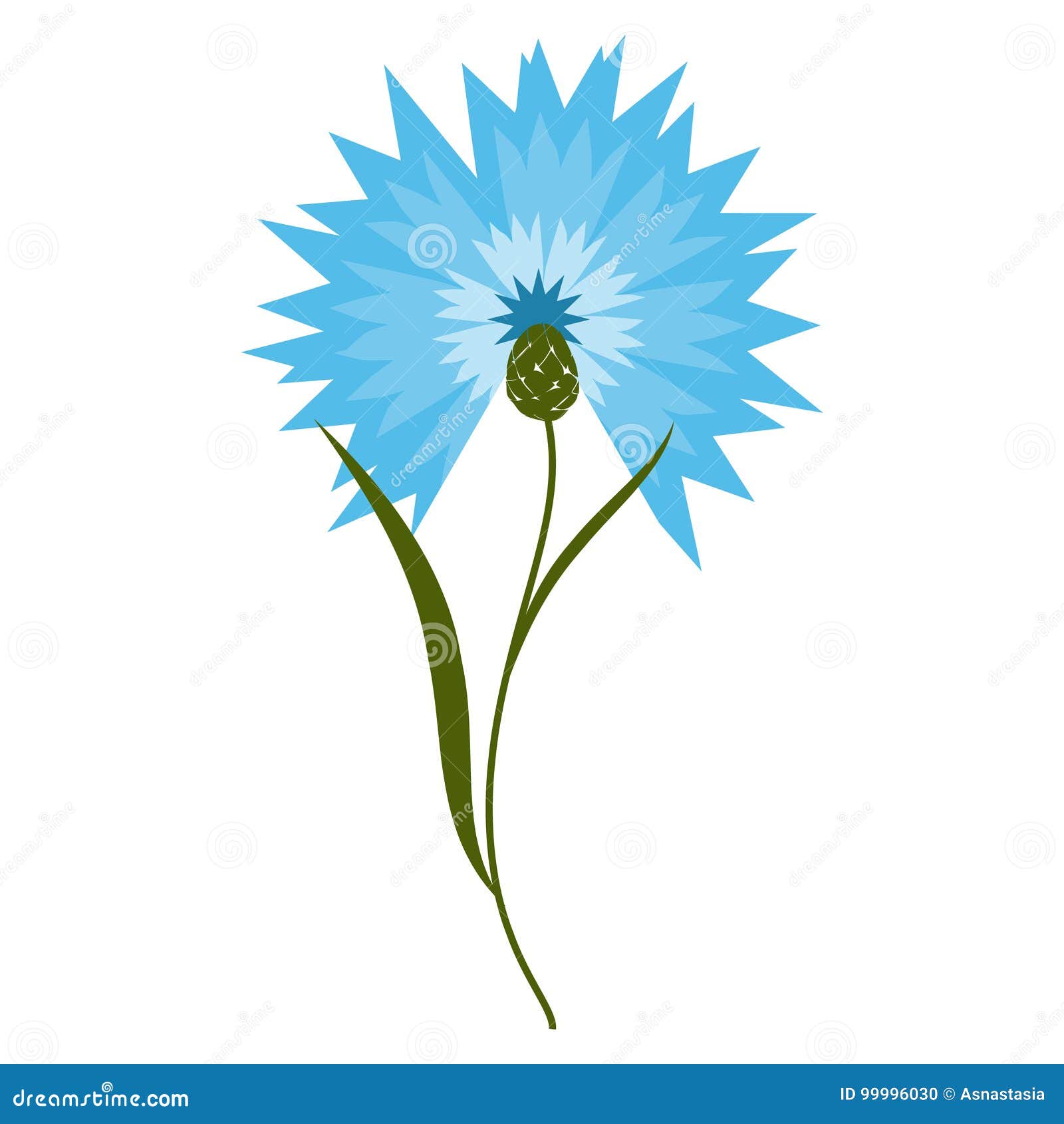 Blue Flower Cornflower Isolated On White Background. Cartoon Vector ...
