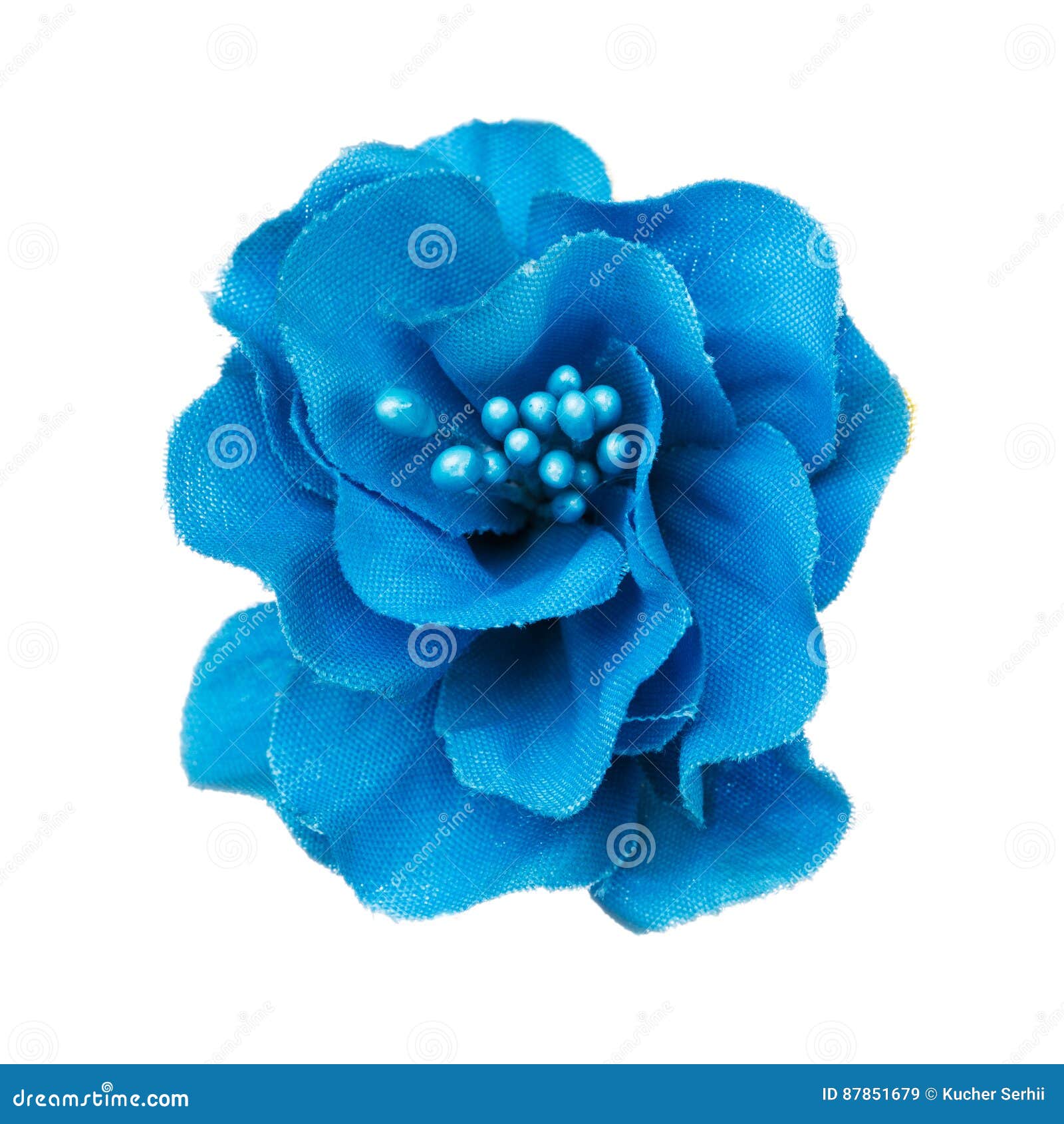 Blue Flower Head Isolated, Beautiful Decoration,top View Stock Image ...