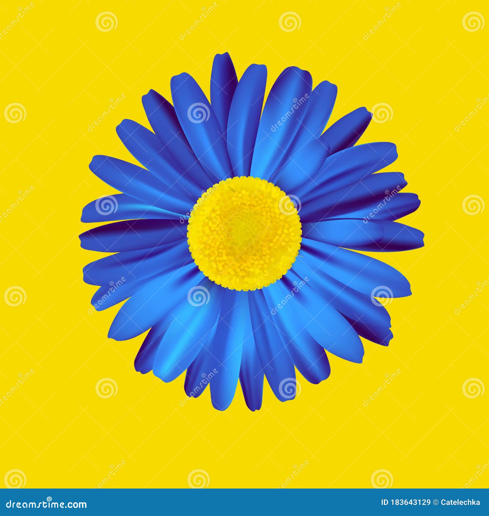 Blue Flower Head. Premium Vector. Stock Vector - Illustration of flora ...