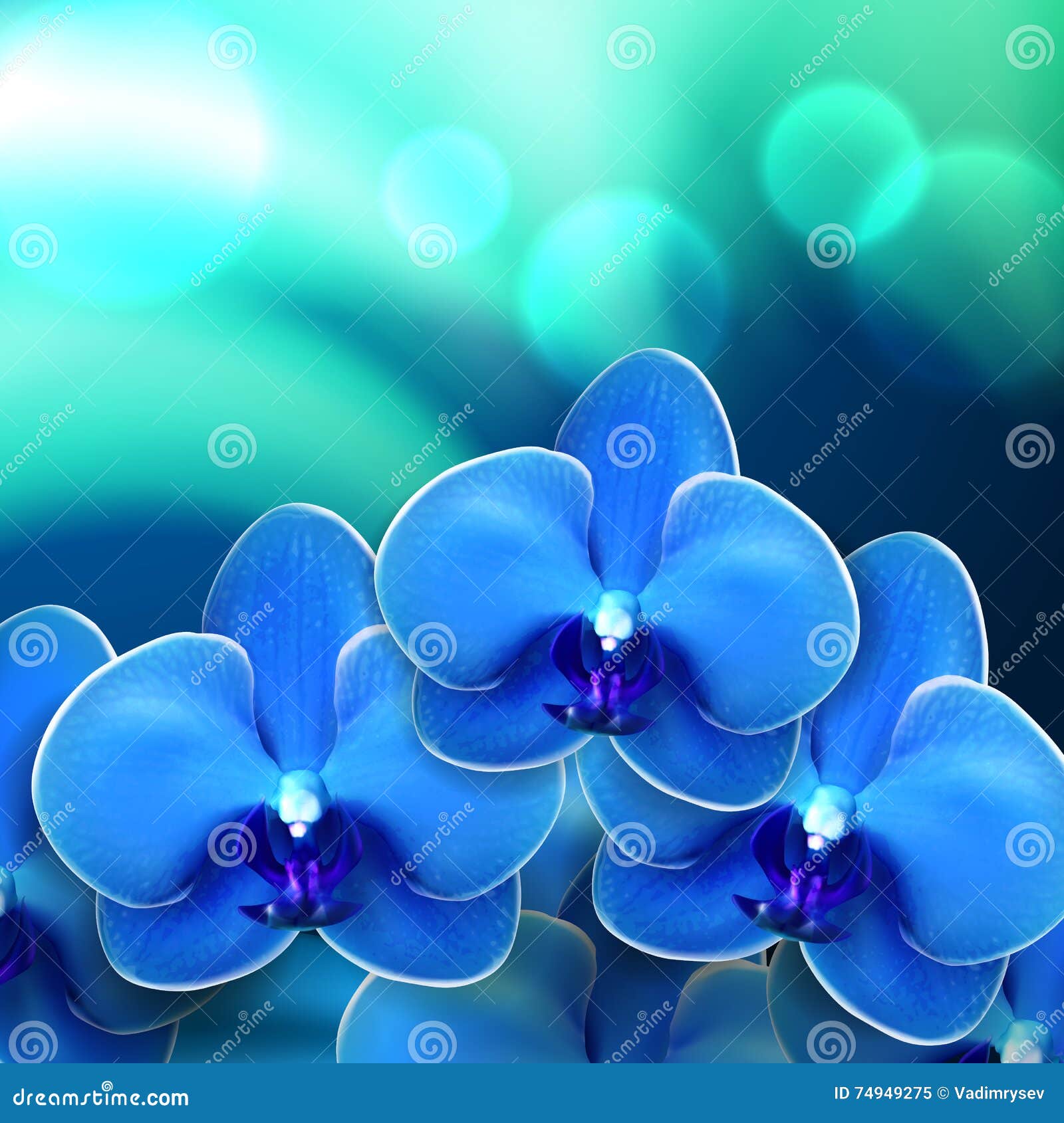Blue Flower Orchid Background Stock Vector - Illustration of decorative ...