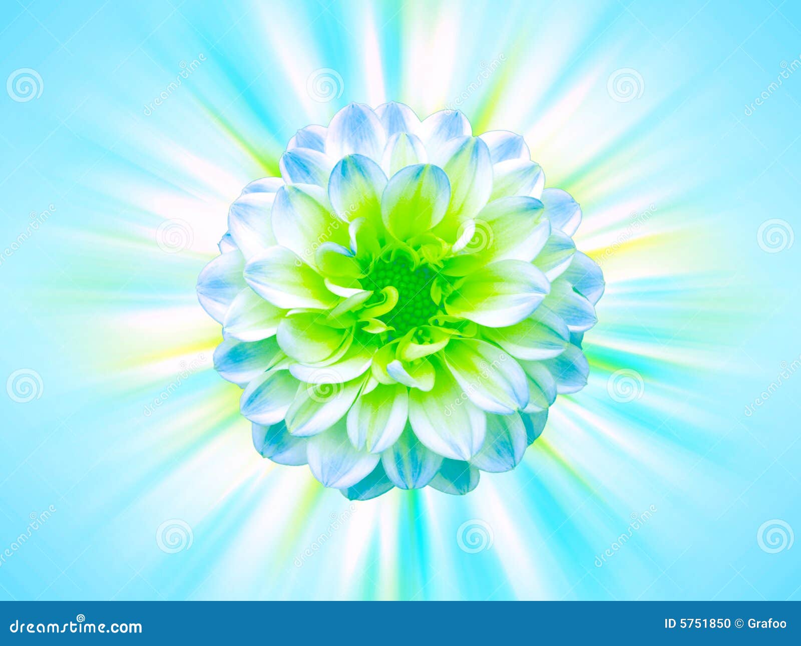 163 Radiating Yellow Rays Stock Photos - Free & Royalty-Free Stock ...