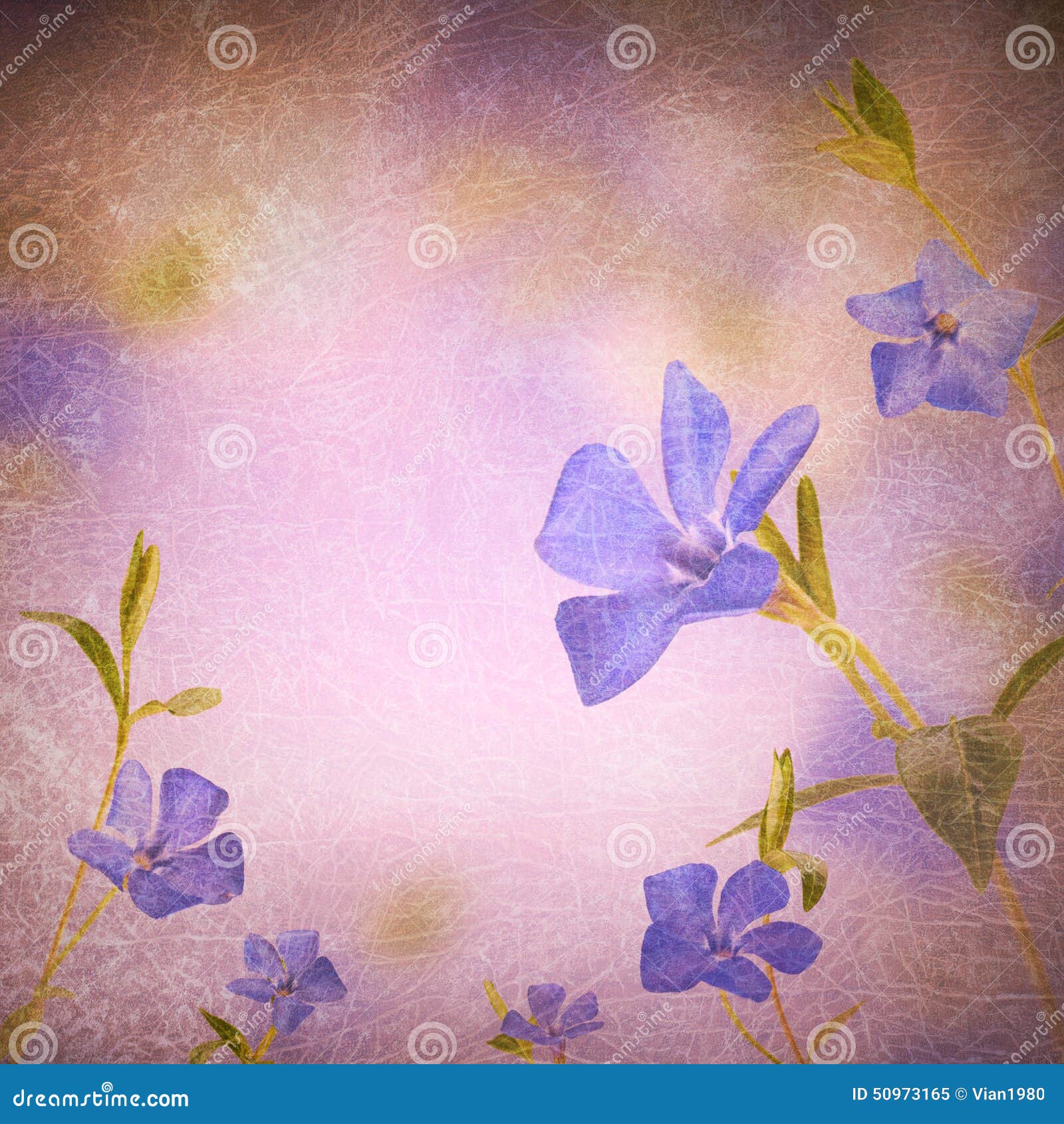 Blue flowers background stock image. Image of blue, blur - 50973165