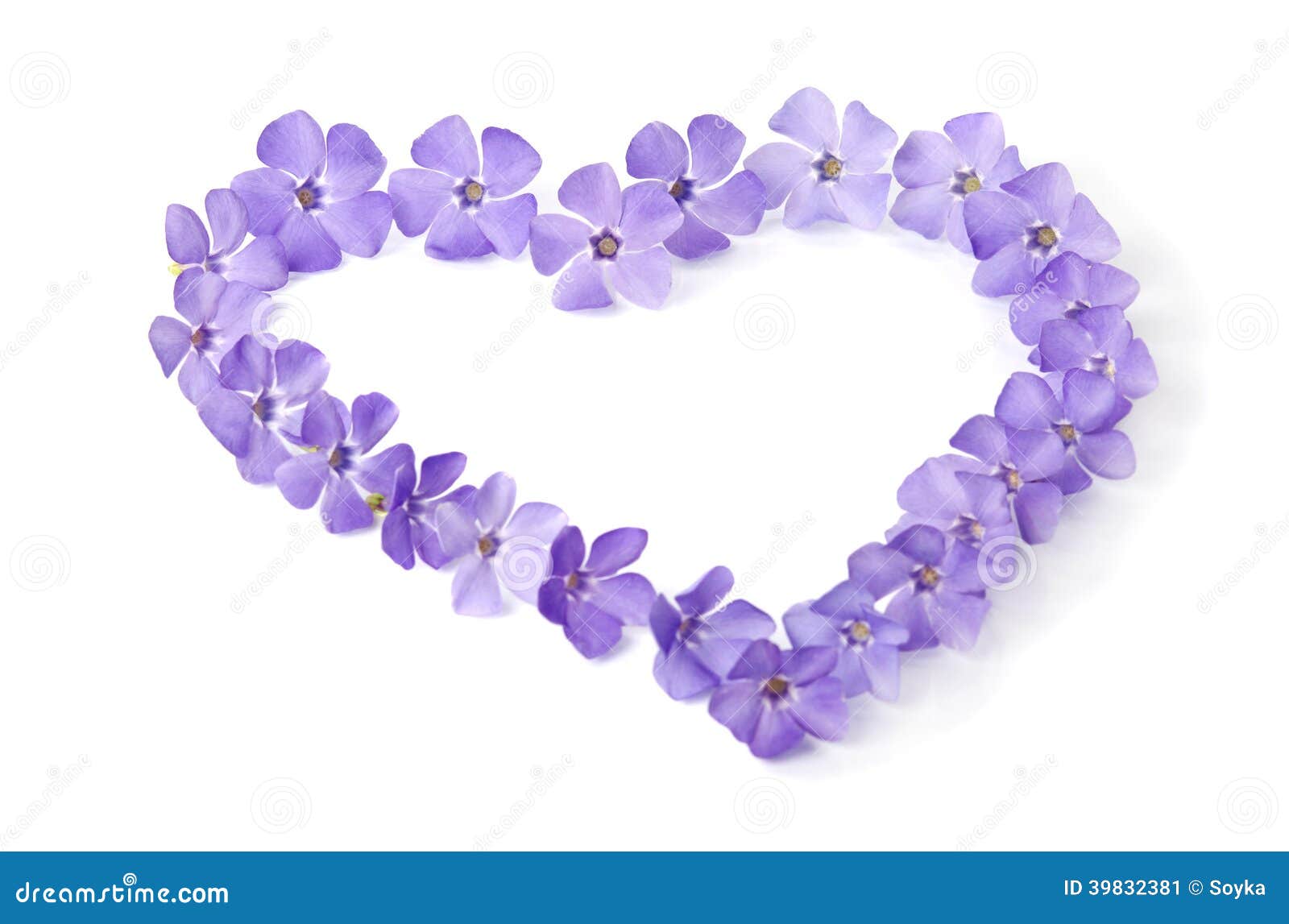 Blue Flowers in a Shape of a Heart Stock Image - Image of emotions ...