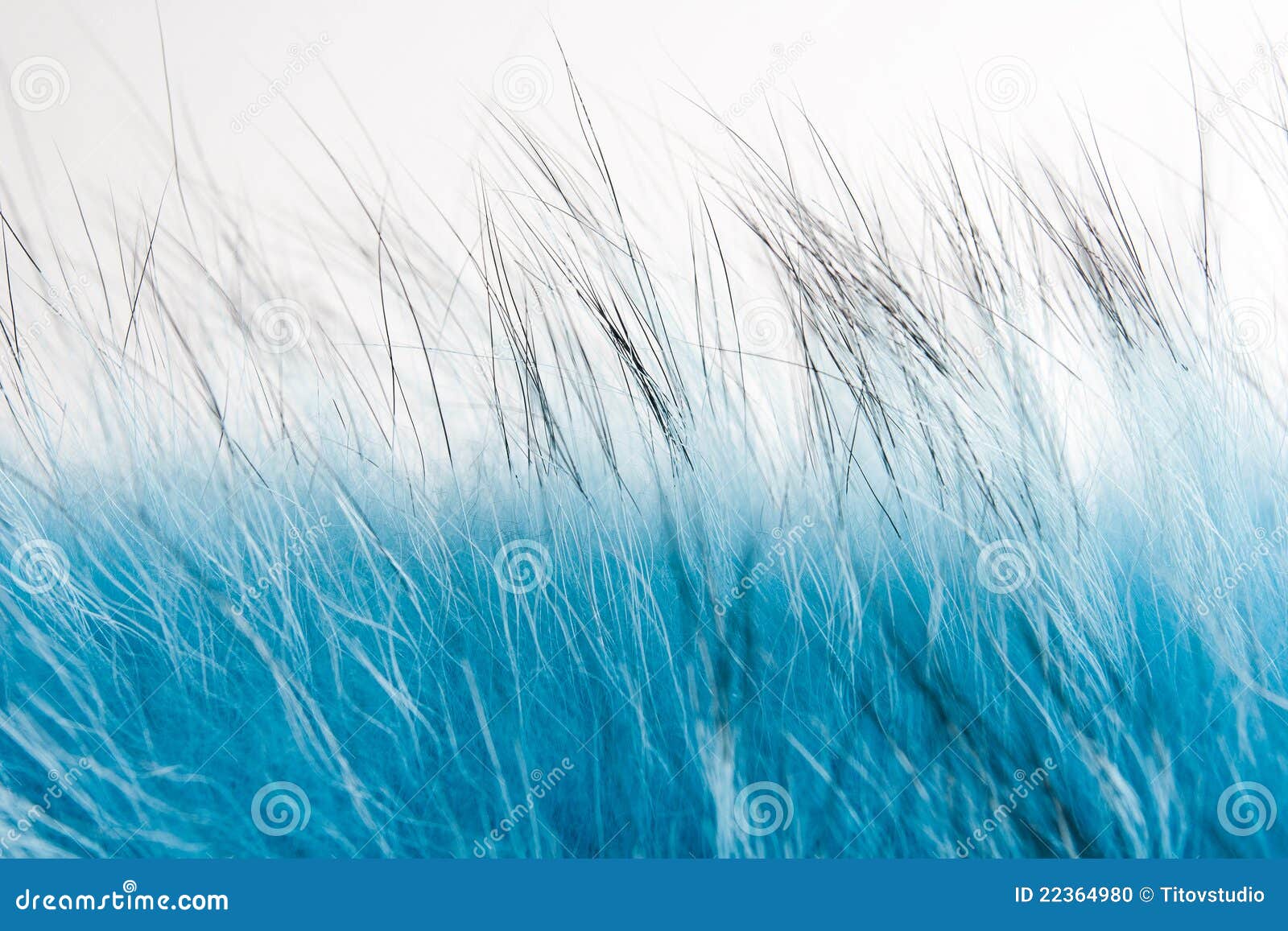 Blue fluffy fur stock photo. Image of coat, winter, fluffy - 22364980