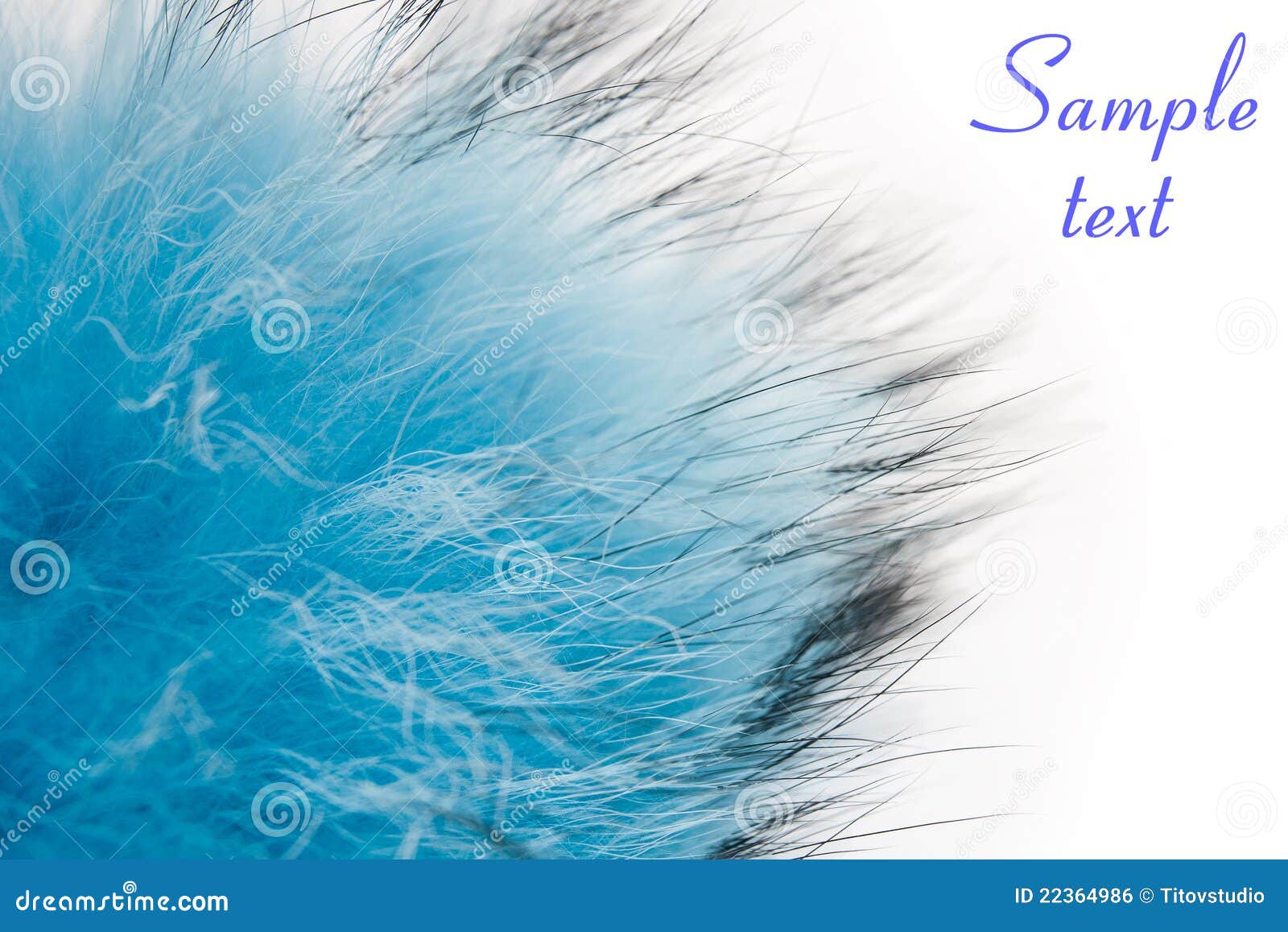 Blue fluffy fur stock photo. Image of blue, bristles - 22364986