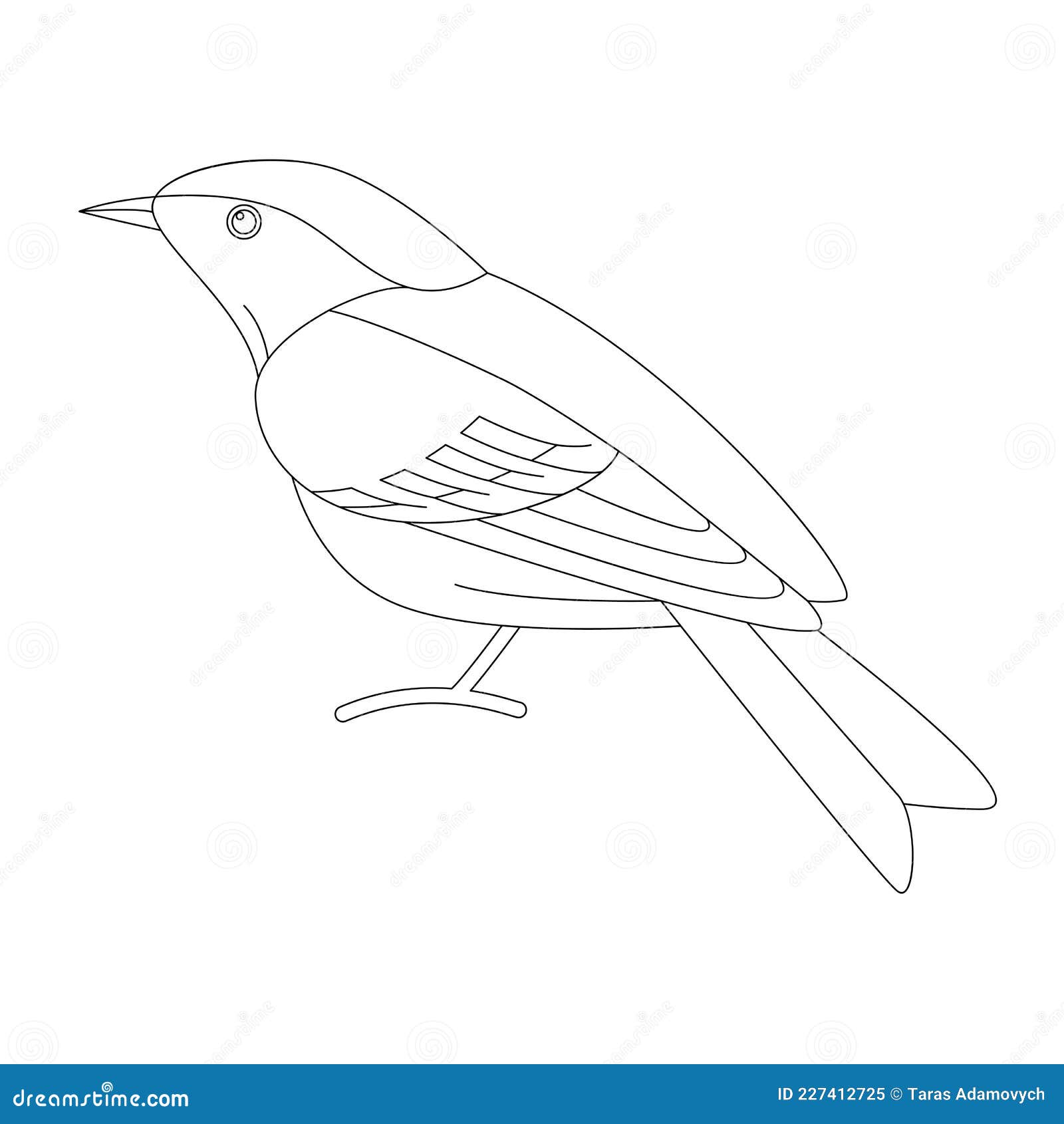 Blue Flycatcher Bird, Vector Illustratio, Lining Draw, Side Stock ...