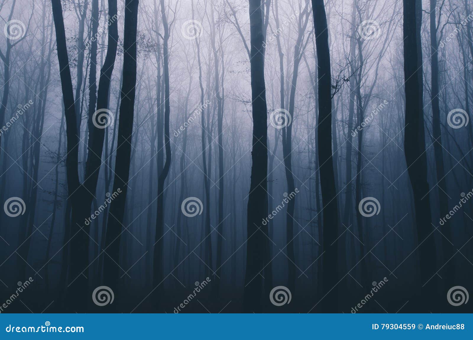 Blue fog at night stock image. Image of backdrop, mysterious - 79304559