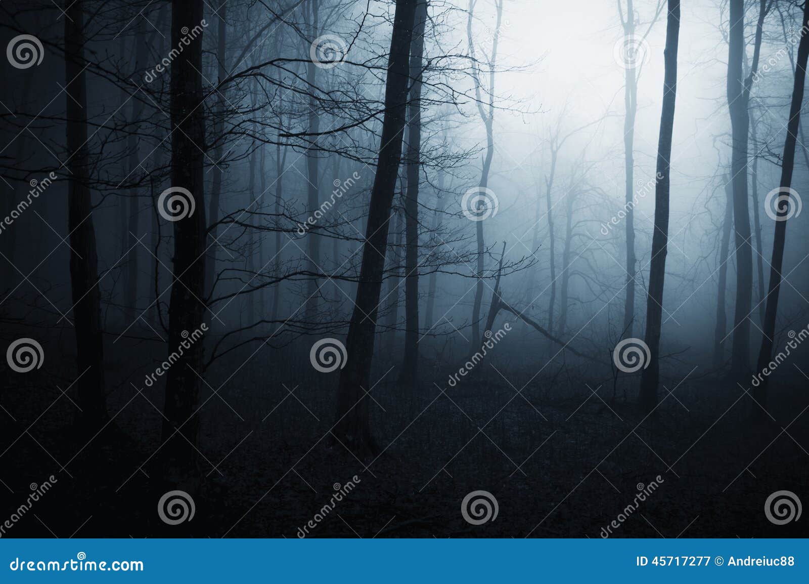 Scary Dark Forest With Creepy Trees Stock Photography | CartoonDealer ...