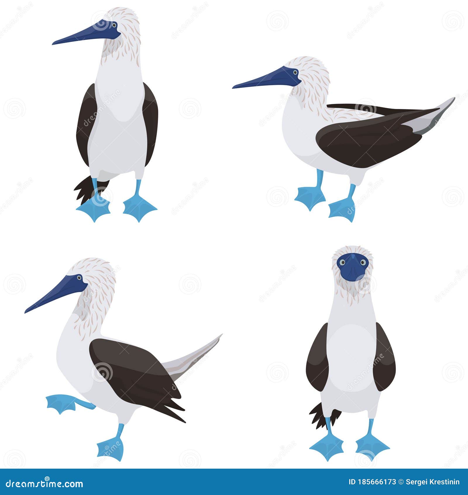 ABC Cartoon Booby | CartoonDealer.com #90015337