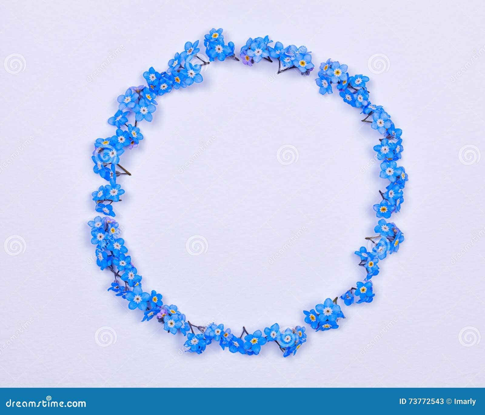 Blue Forget-me-not Flowers Arranged on a Circle Stock Image - Image of ...