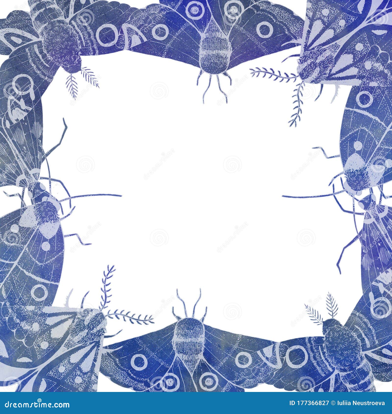 Blue Frame Hand Drawn Ink Moth. Template Framework Stock Illustration ...