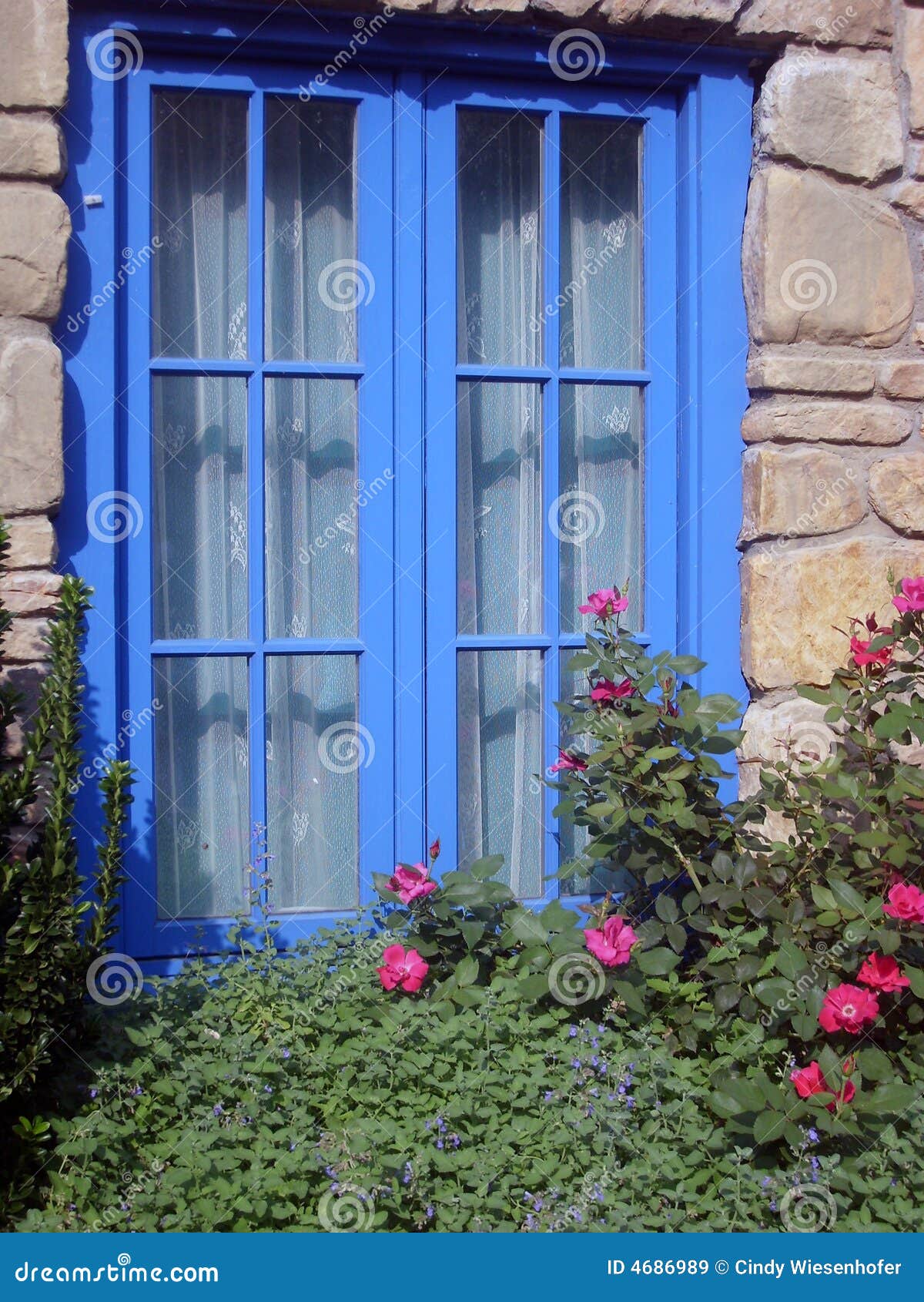 Blue Framed Window with Flowers Stock Image - Image of walls, panes ...