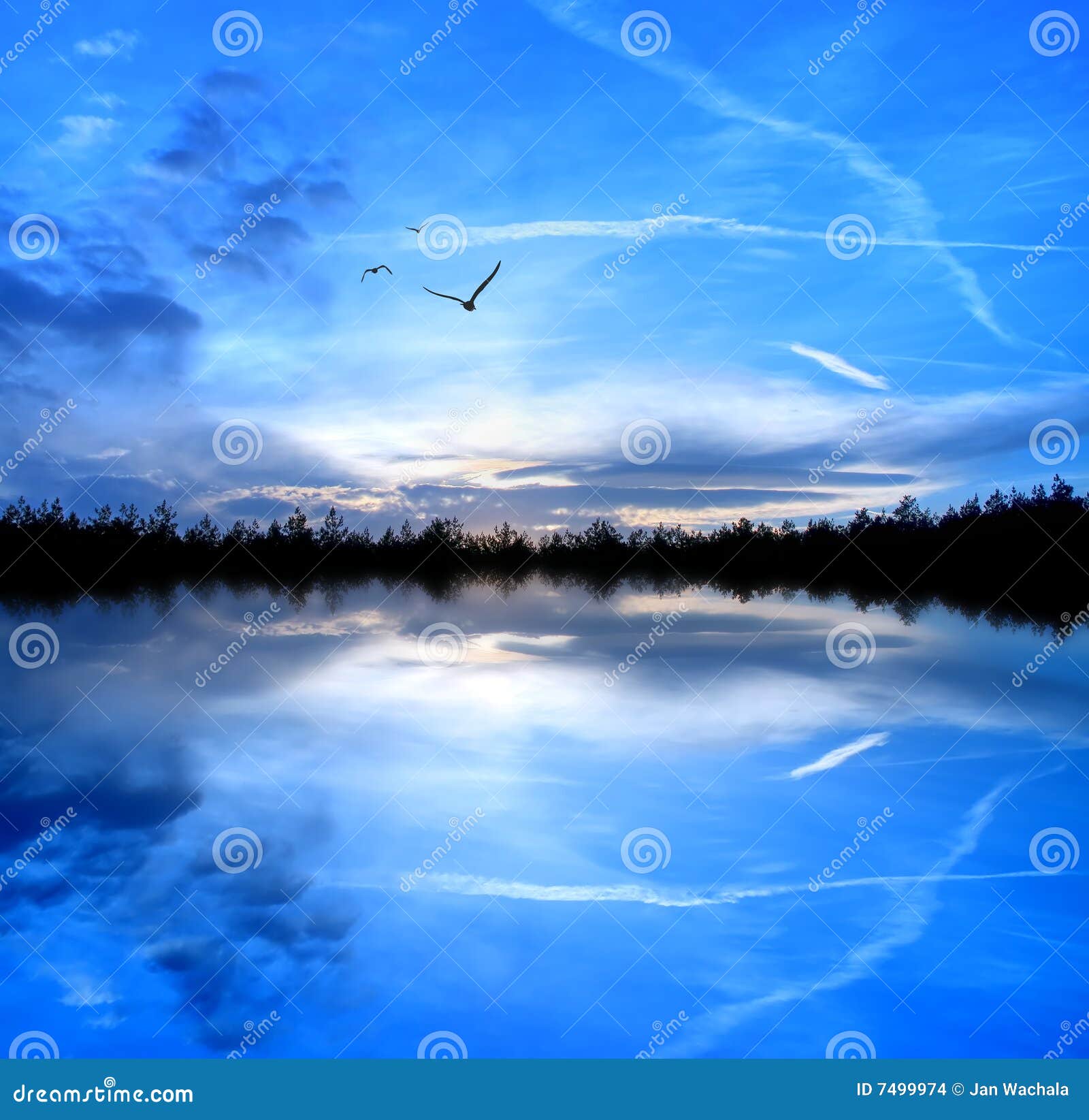 Blue Freedom Wings Emblem. Heraldic Coat Of Arms Decorative Logo ...