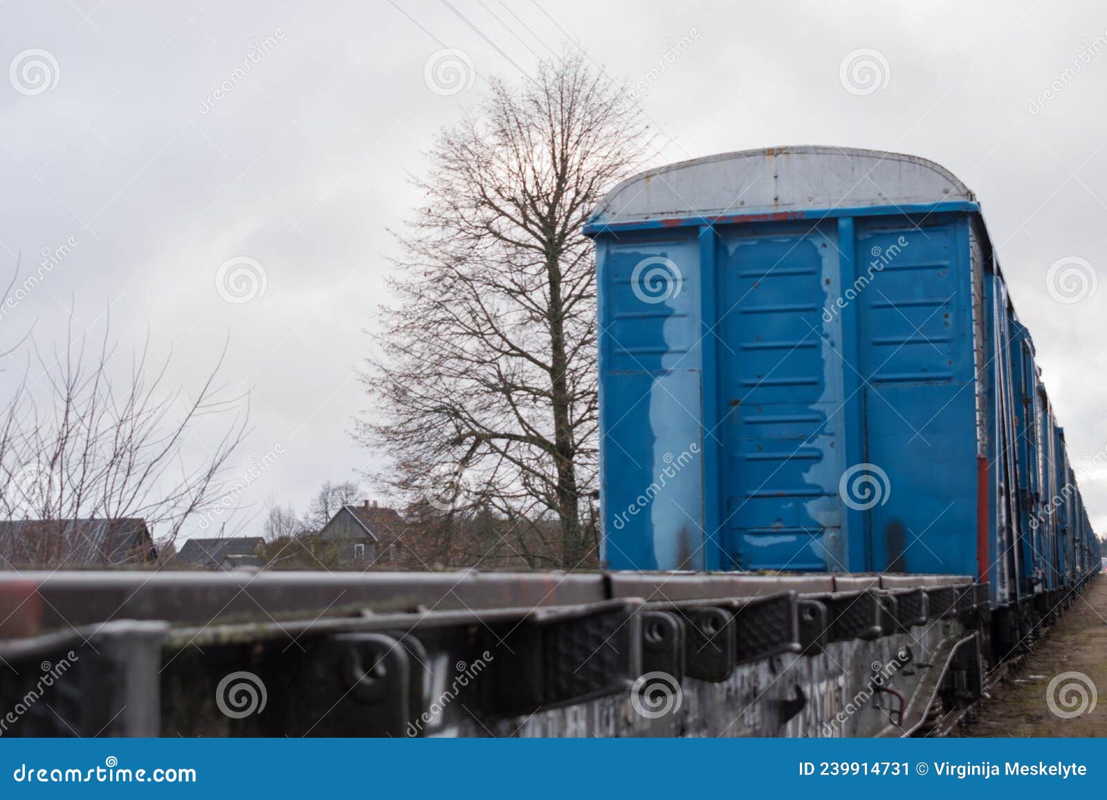 Blue Freight Train in Winter. Stock Image - Image of delivery, diesel ...