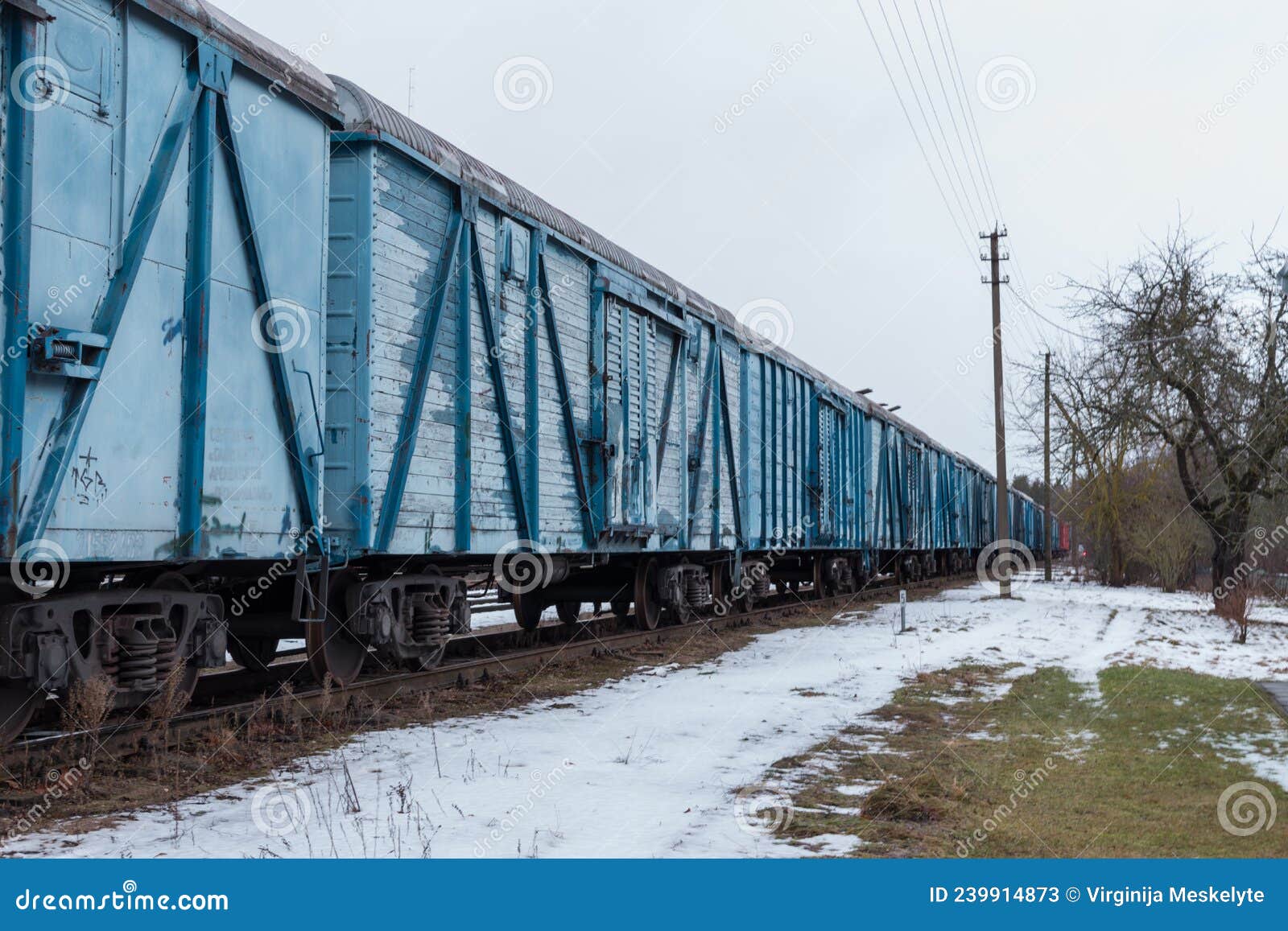 Blue Freight Train in Winter. Stock Image - Image of delivery, travel ...