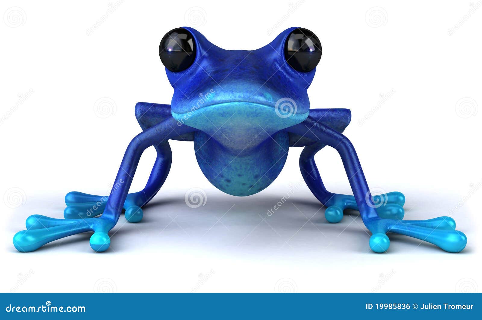 Blue frog stock illustration. Illustration of amazonian - 19985836