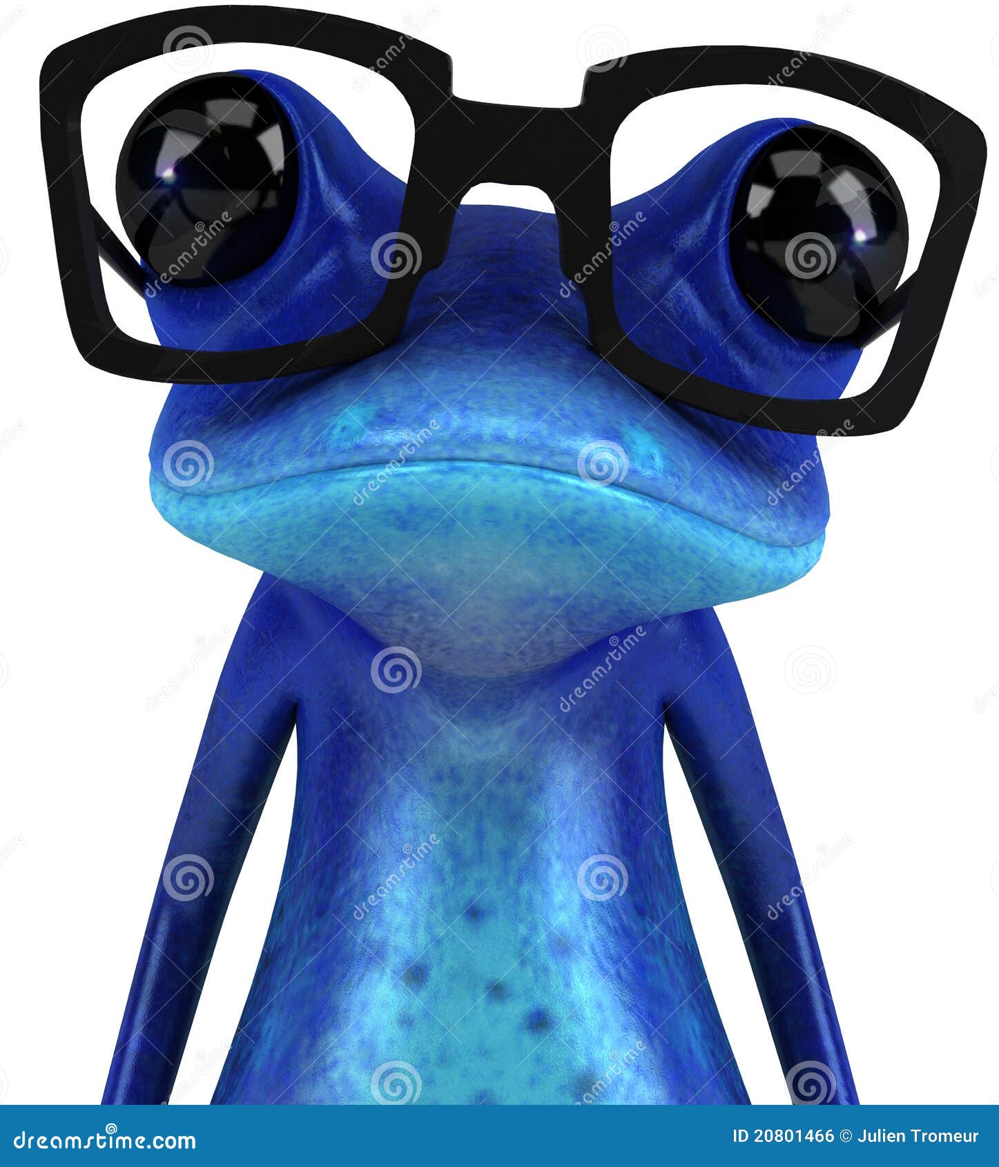 Blue frog stock illustration. Illustration of nature - 20801466