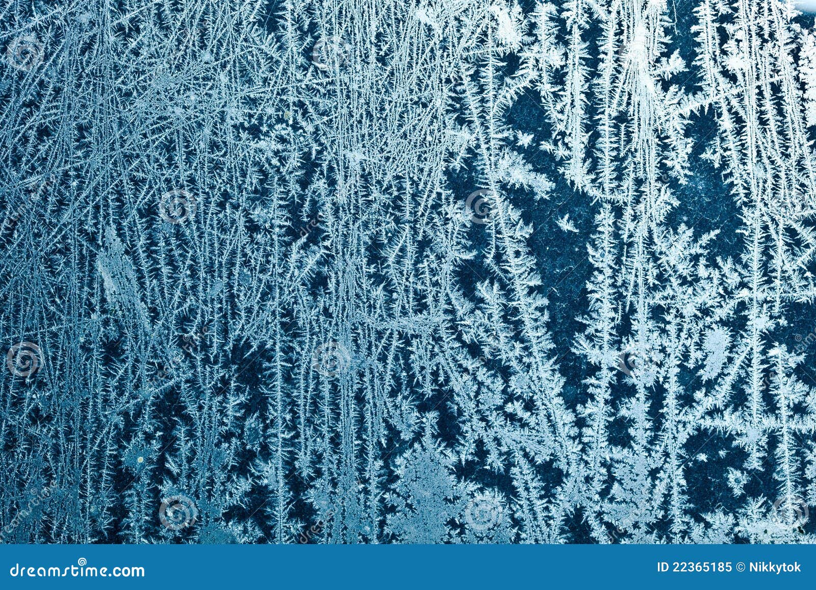 Frost Background Royalty-Free Stock Photo | CartoonDealer.com #29190033