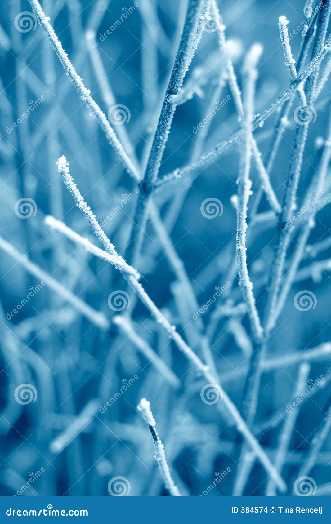 Blue Frost Texture stock photo. Image of color, concept - 384574