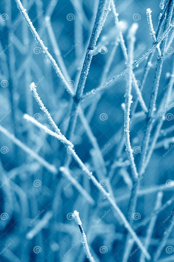 Blue Frost Texture stock photo. Image of color, concept - 384574