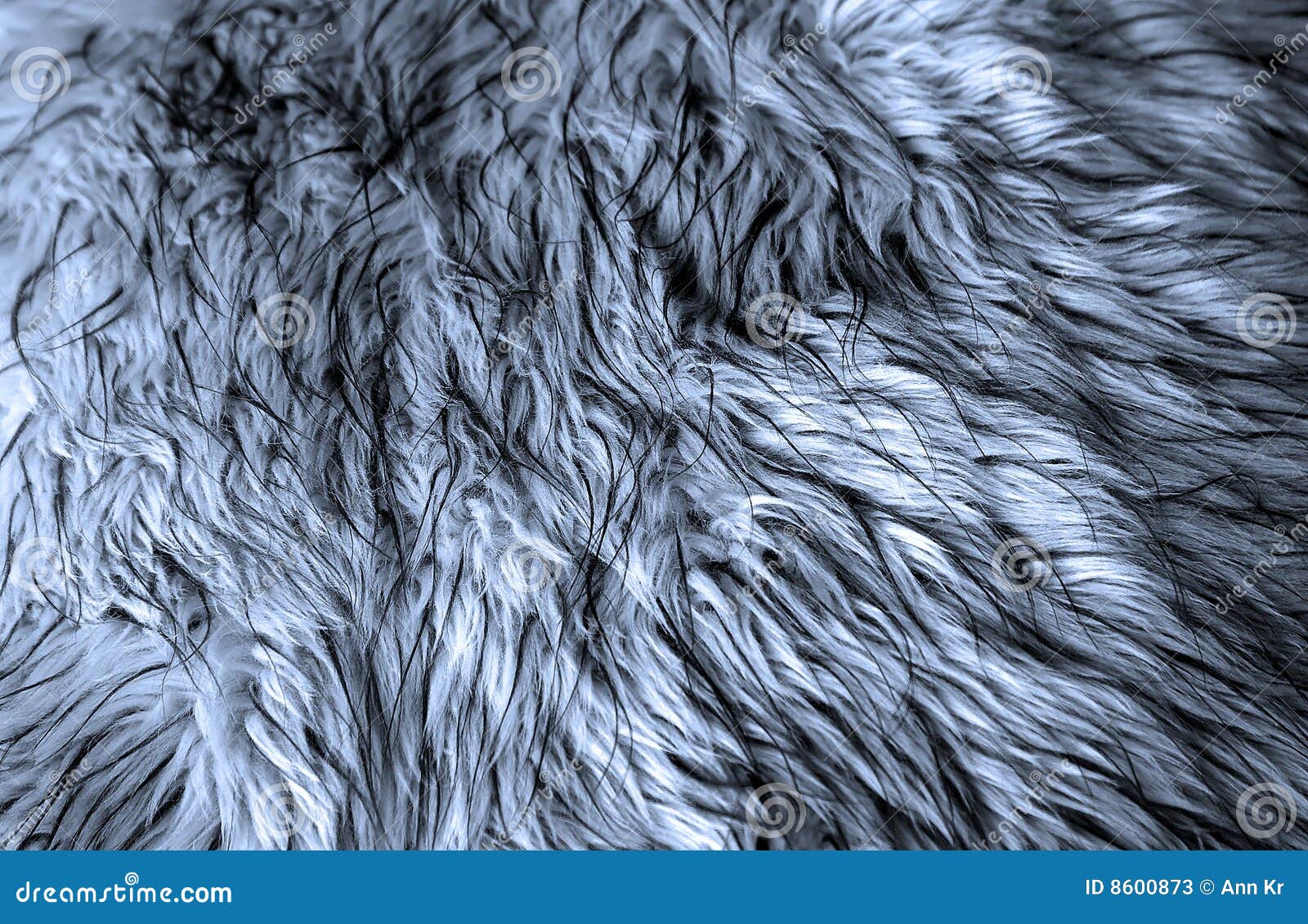 Blue fur stock image. Image of material, hair, jerkin - 8600873