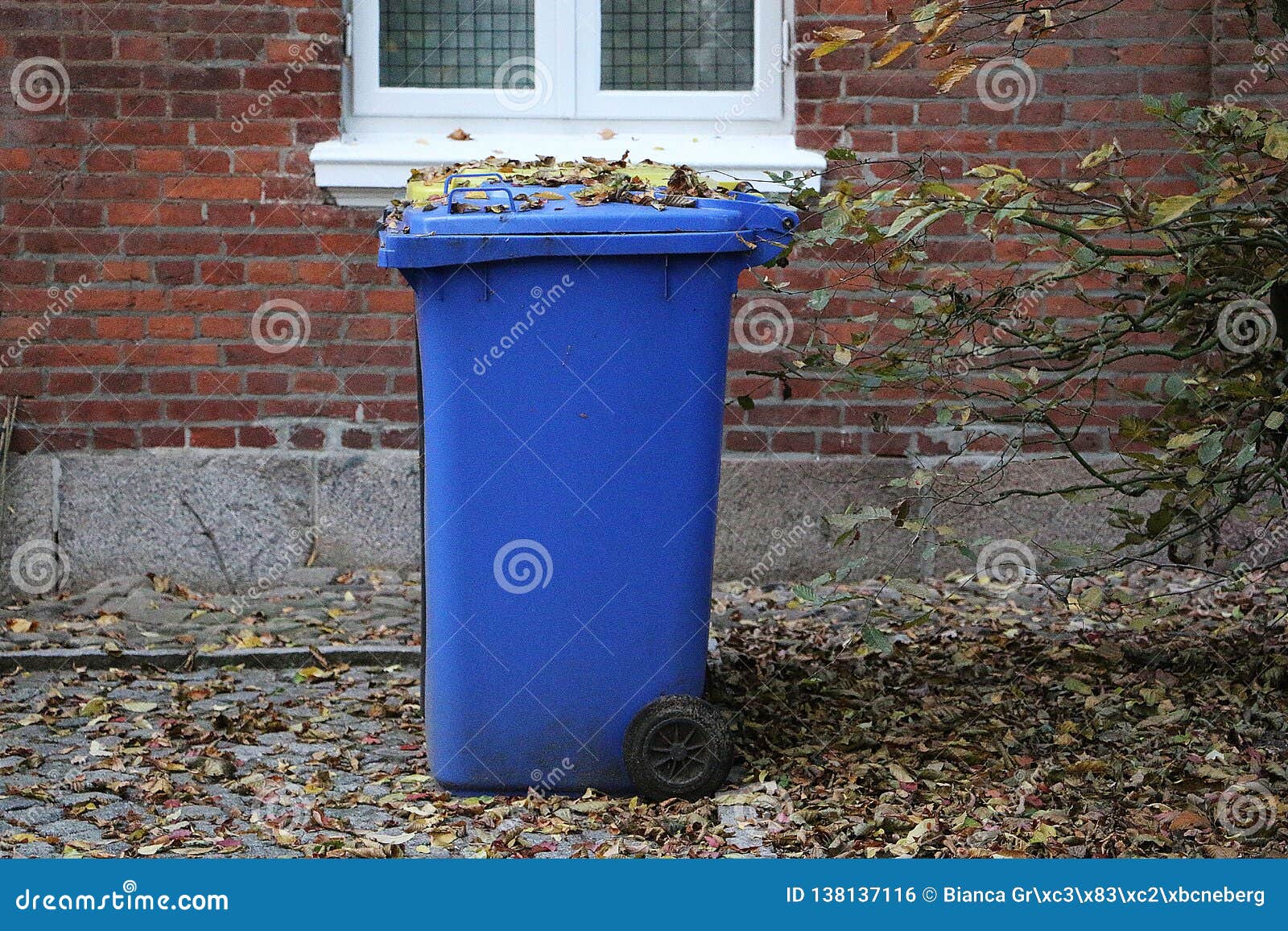 Blue Garbage Can with Autumn Leafs Stock Photo - Image of color, closed ...
