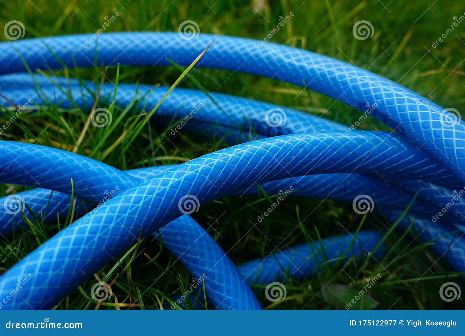 Blue Garden Hose on the Grass Stock Image - Image of grass, plastic ...