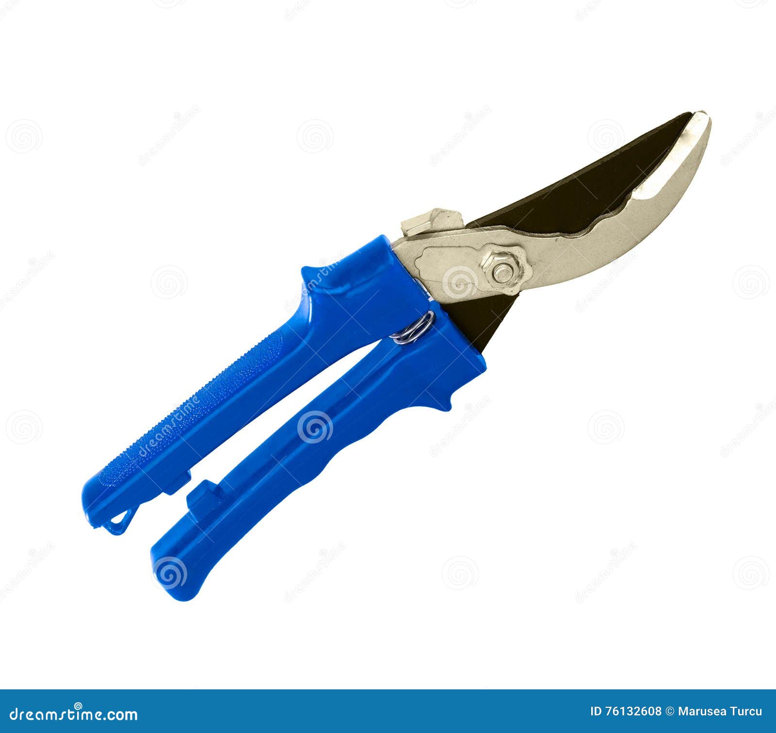 Blue Garden Shears Isolated on a White Background Stock Photo - Image ...