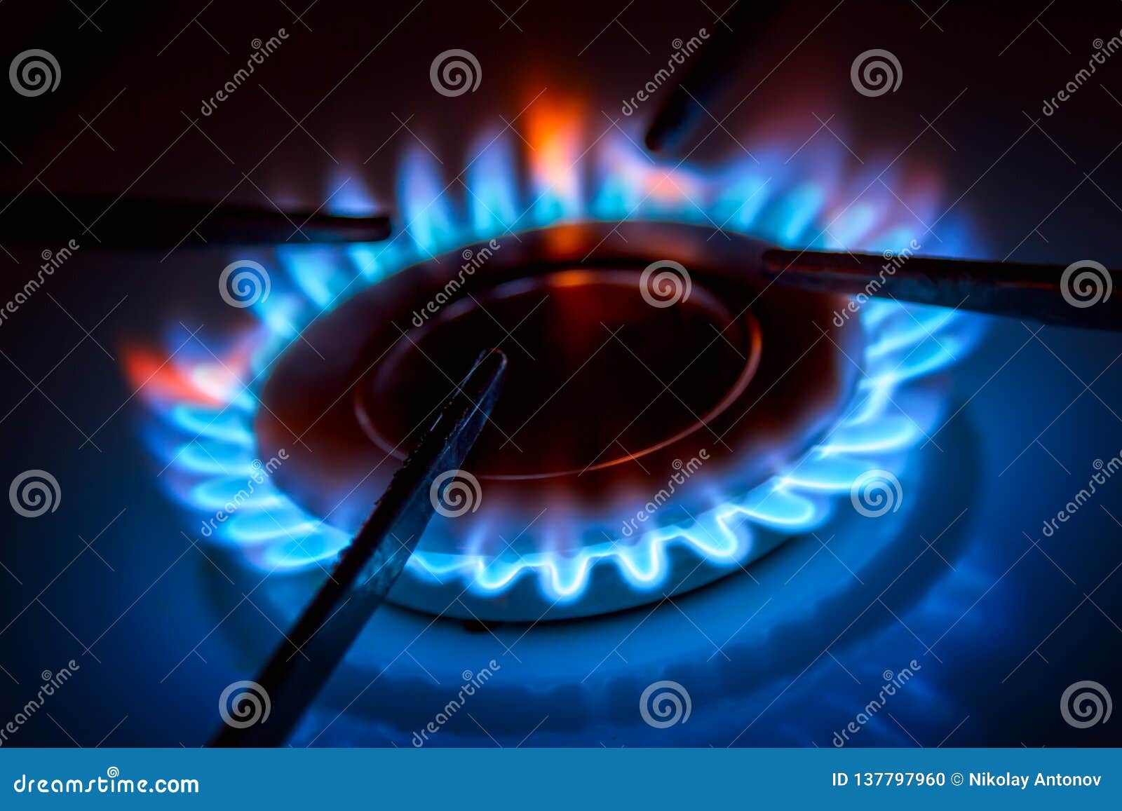 Blue Gas Burning from a Kitchen Gas Stove. Selective Focus Stock Photo ...