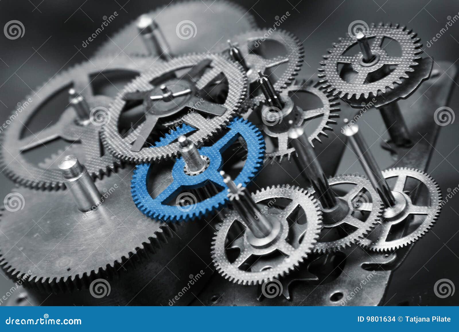 Blue gear stock photo. Image of precision, business, engine - 9801634