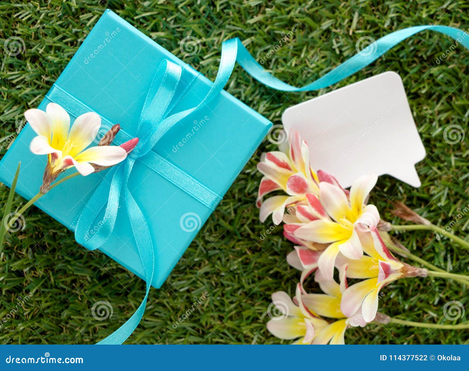 Blue Gift Box with a Bow, Blank Note for Text and Flowers. Stock Photo ...