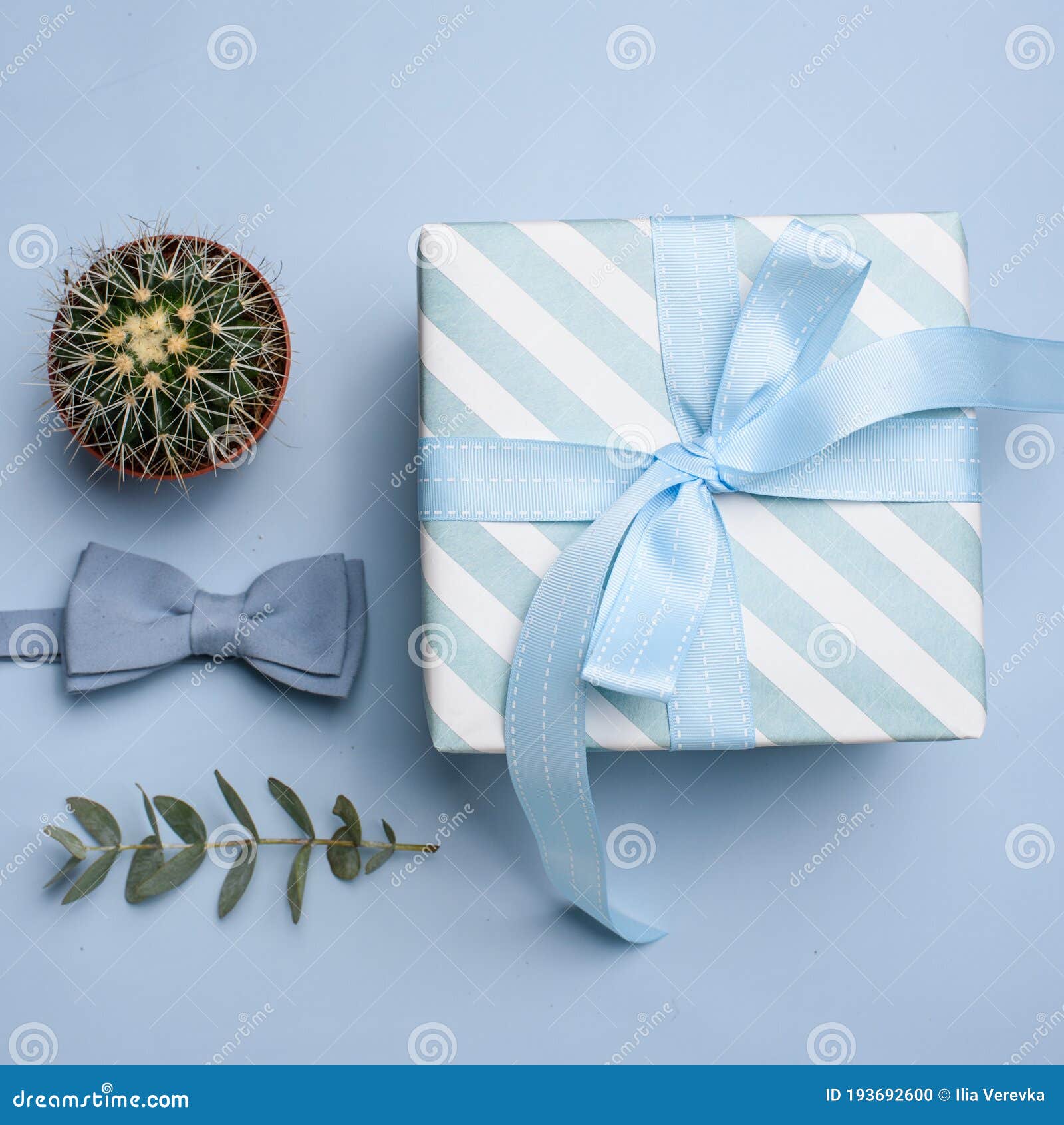 Blue Gift Box, Bow Tie, Cactus and Eucalyptus Twig Stock Photo - Image ...