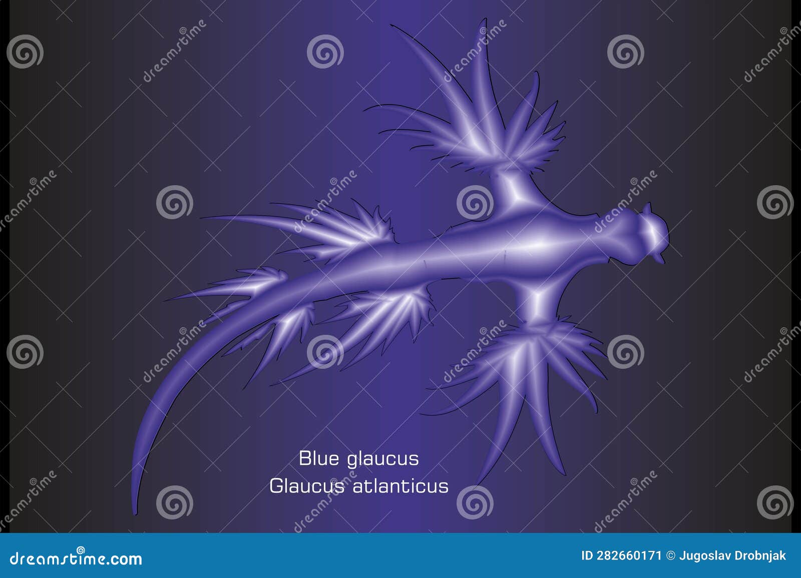 Blue Glaucus on Abstract Background Stock Vector - Illustration of ...