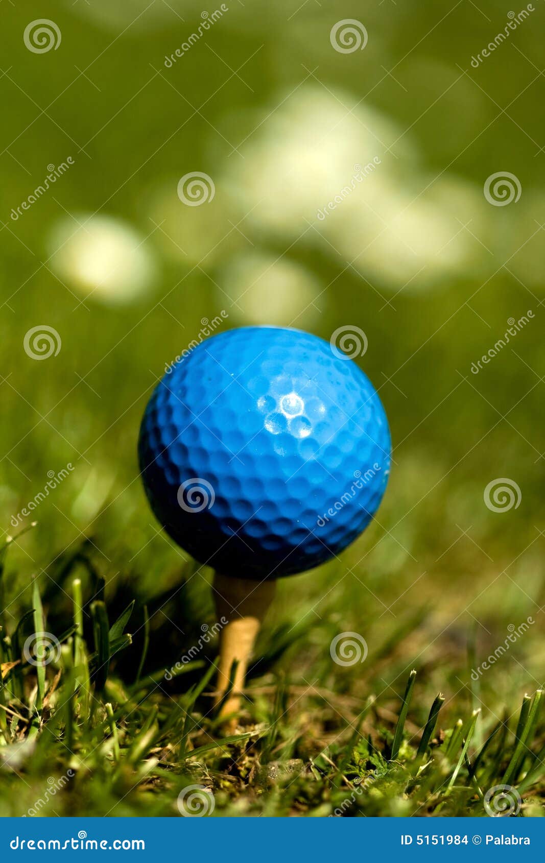 Blue golf ball 3 stock photo. Image of leisure, grass - 5151984