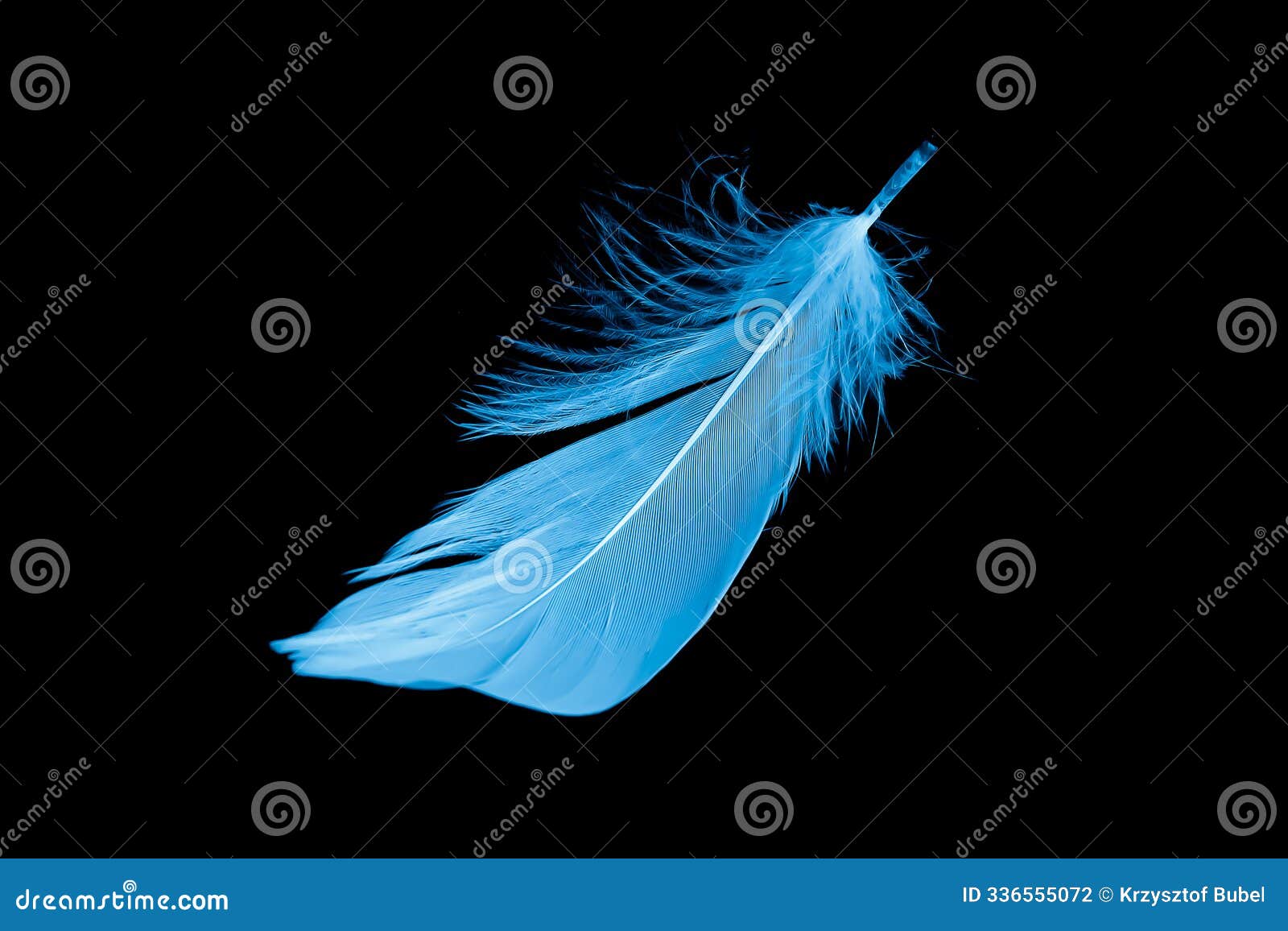 Blue Goose Feather on Black Background Stock Photo - Image of fashion ...