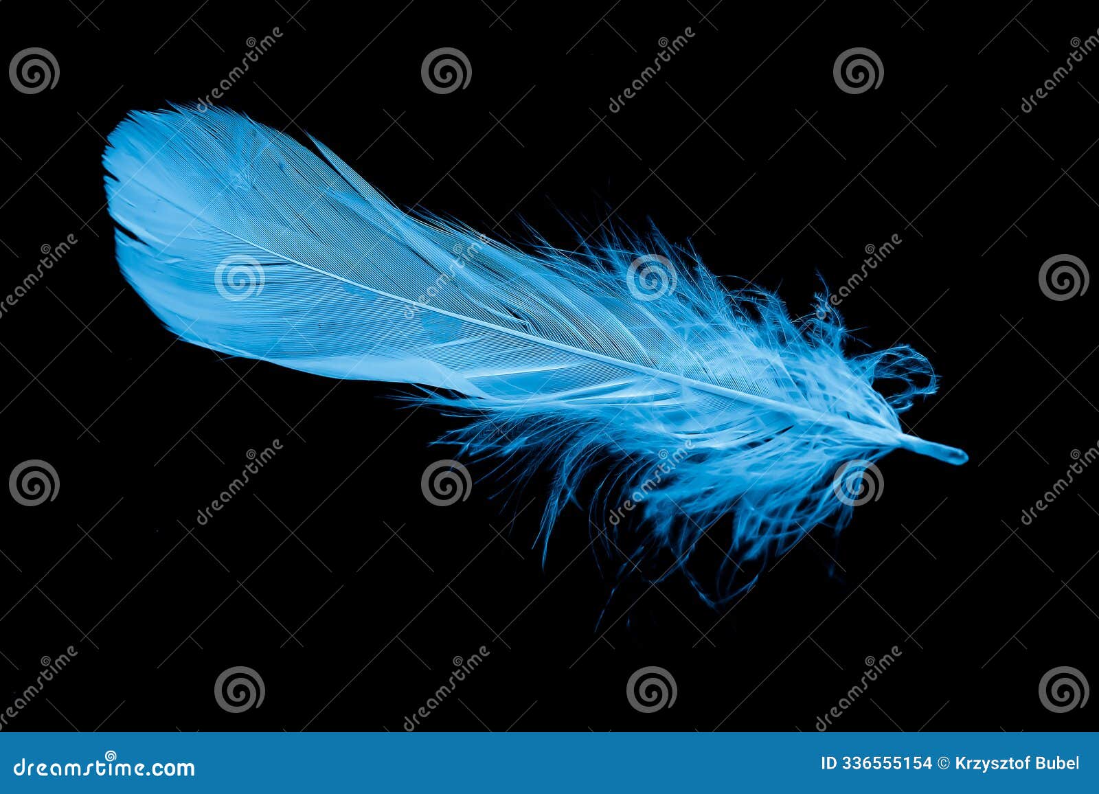 Blue Goose Feather on Black Background Stock Photo - Image of design ...