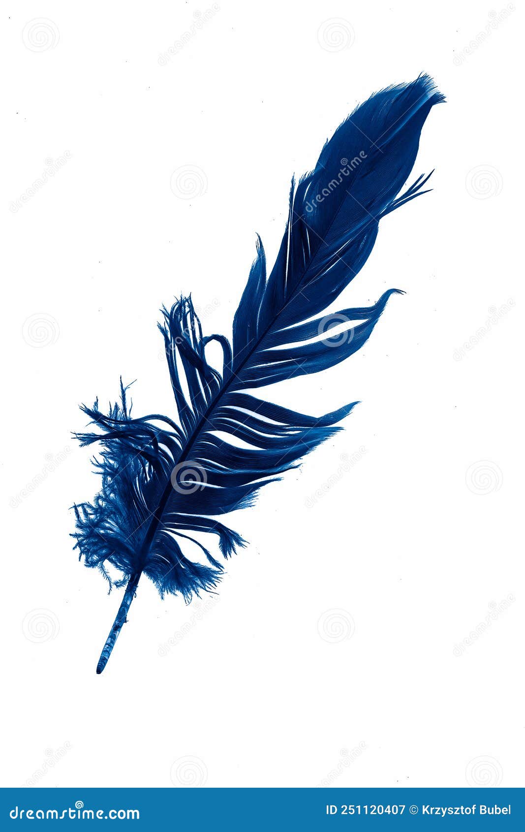 Blue Goose Feather on a White Isolated Background Stock Image - Image ...
