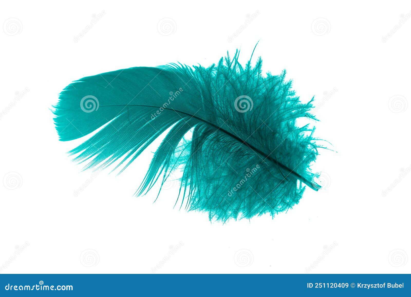 Blue Goose Feather on a White Isolated Background Stock Image - Image ...