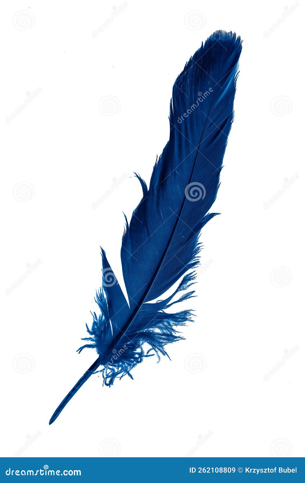 Blue Goose Feather on a White Isolated Background Stock Image - Image ...