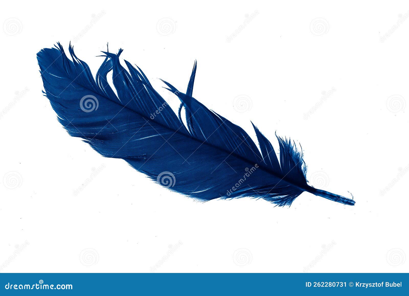 Blue Goose Feather on a White Isolated Background Stock Image - Image ...
