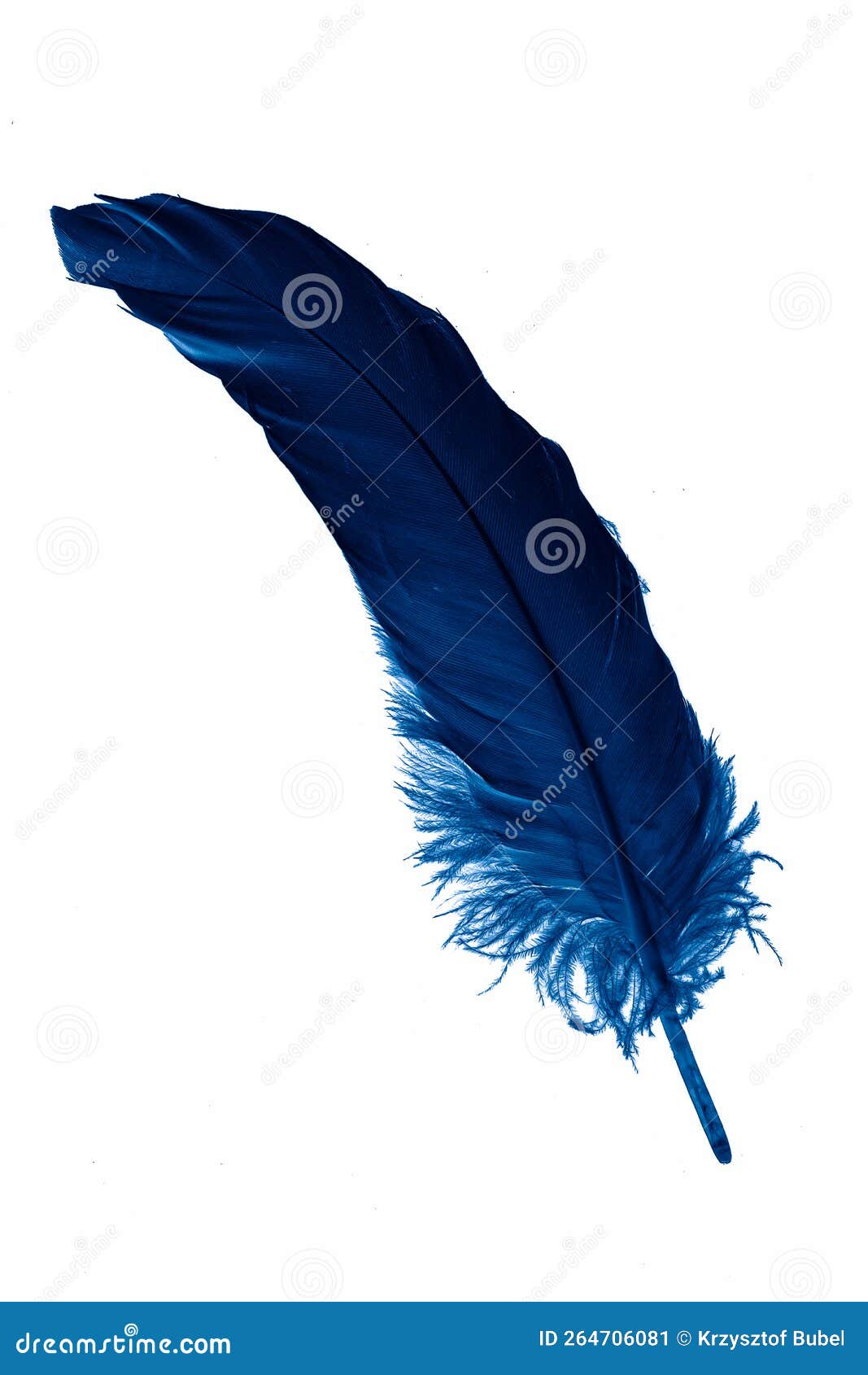 Blue Goose Feather on a White Isolated Background Stock Image - Image ...