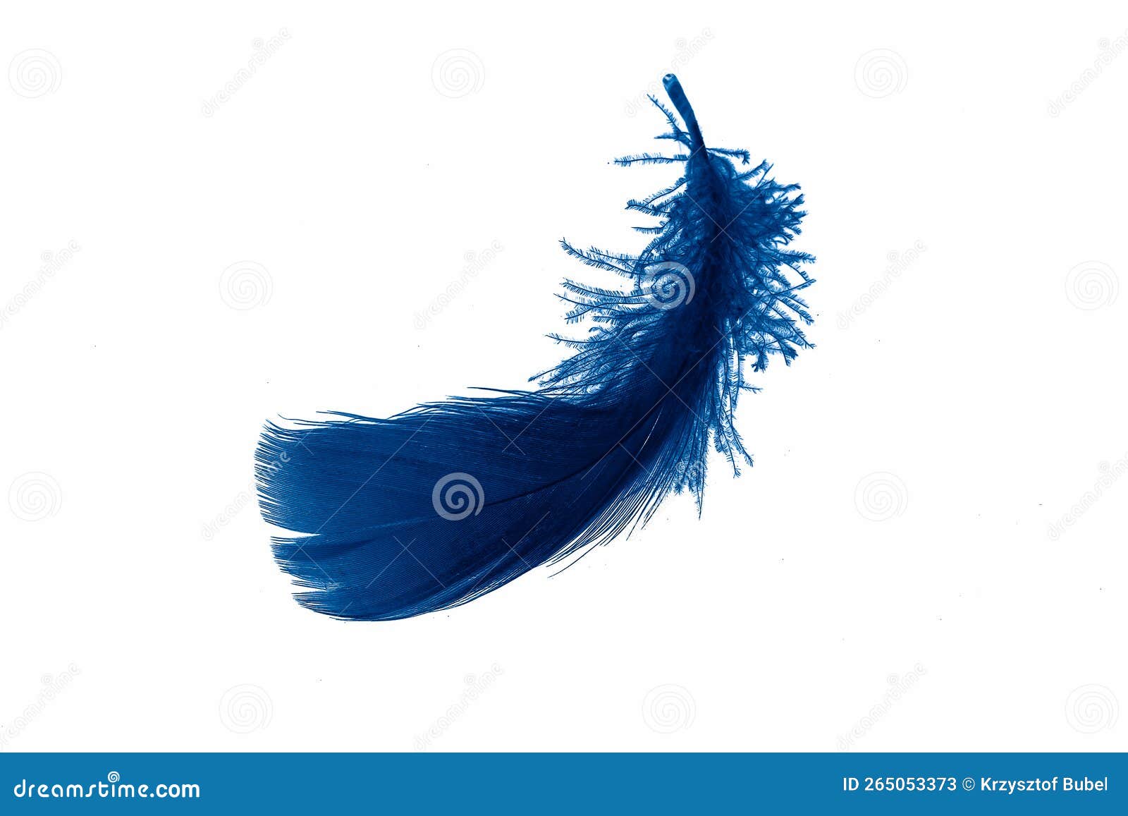 Blue Goose Feather on a White Isolated Background Stock Image - Image ...