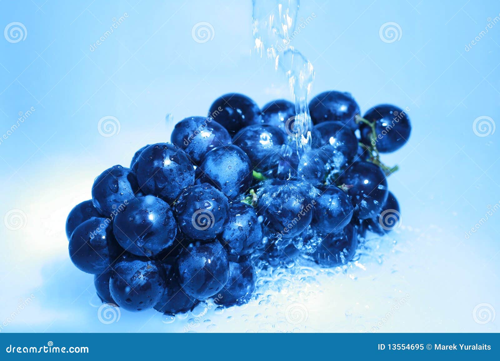 Blue grape stock image. Image of fresh, pistachio, diet - 13554695