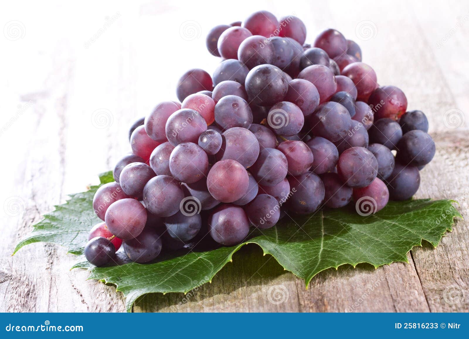 Blue grape stock image. Image of fruit, juicy, life, stem - 25816233
