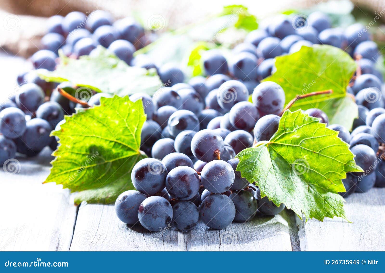 Blue grape stock image. Image of healthy, still, bunch - 26735949