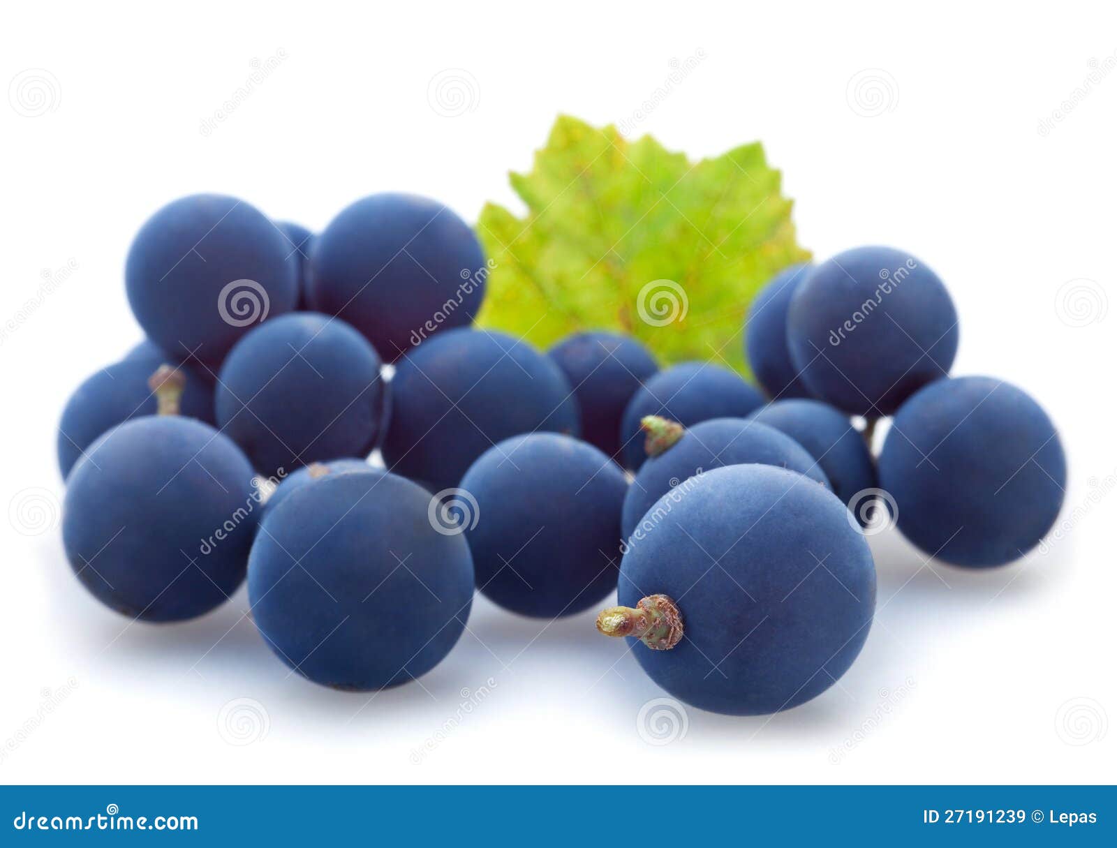 Blue Grape Cluster With Leaves Stock Image | CartoonDealer.com #3323887