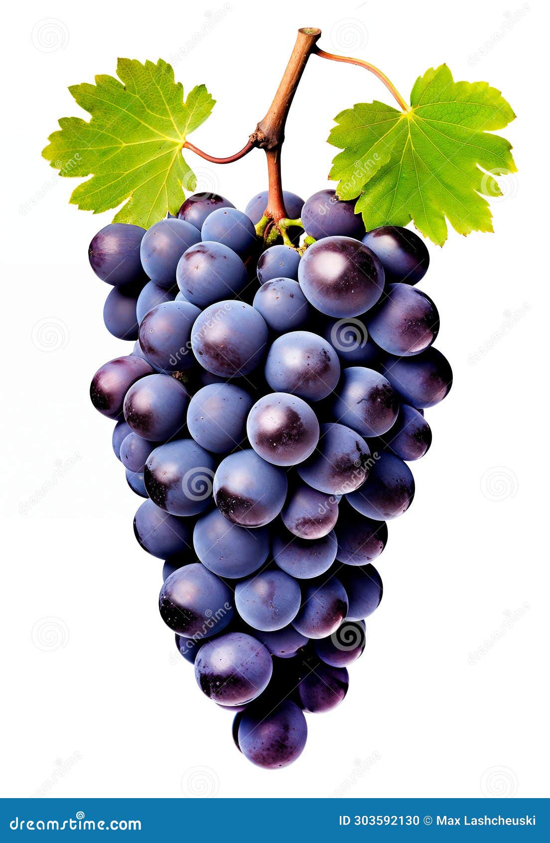 Blue Grape Bunch with Leaves Isolated on White Background Stock Photo ...